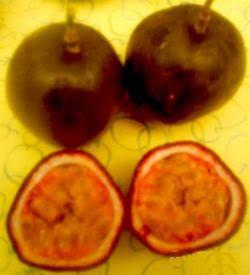 LAS FRUTAS....: GuLuPa.....