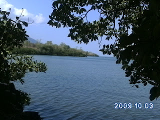 DINAS PPO KABUPATEN LEMBATA: Logo Lembata