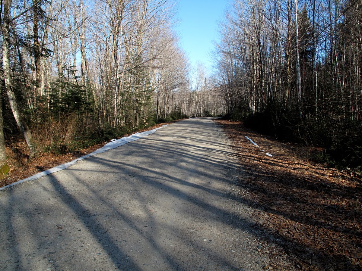 White Mountain Sojourn: 3-27-10 Percy Peaks