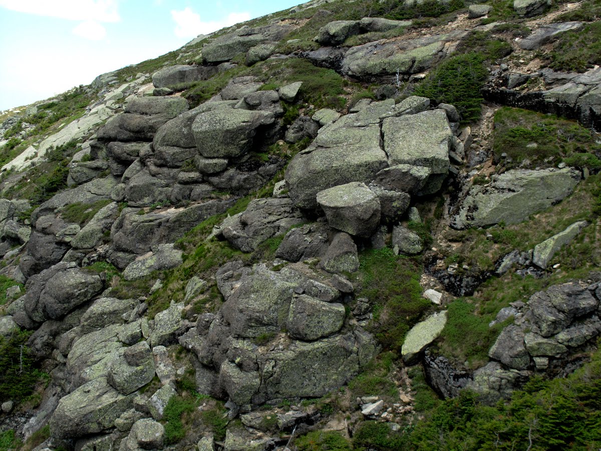 White Mountain Sojourn: 6-18-10 Franconia Ridge