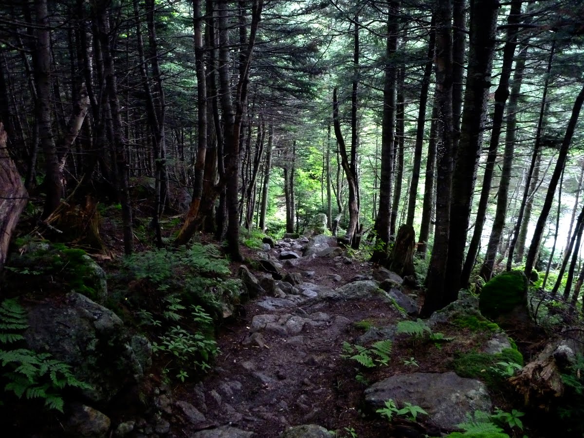 White Mountain Sojourn: 7-19-10 Carter Notch on a rainy day