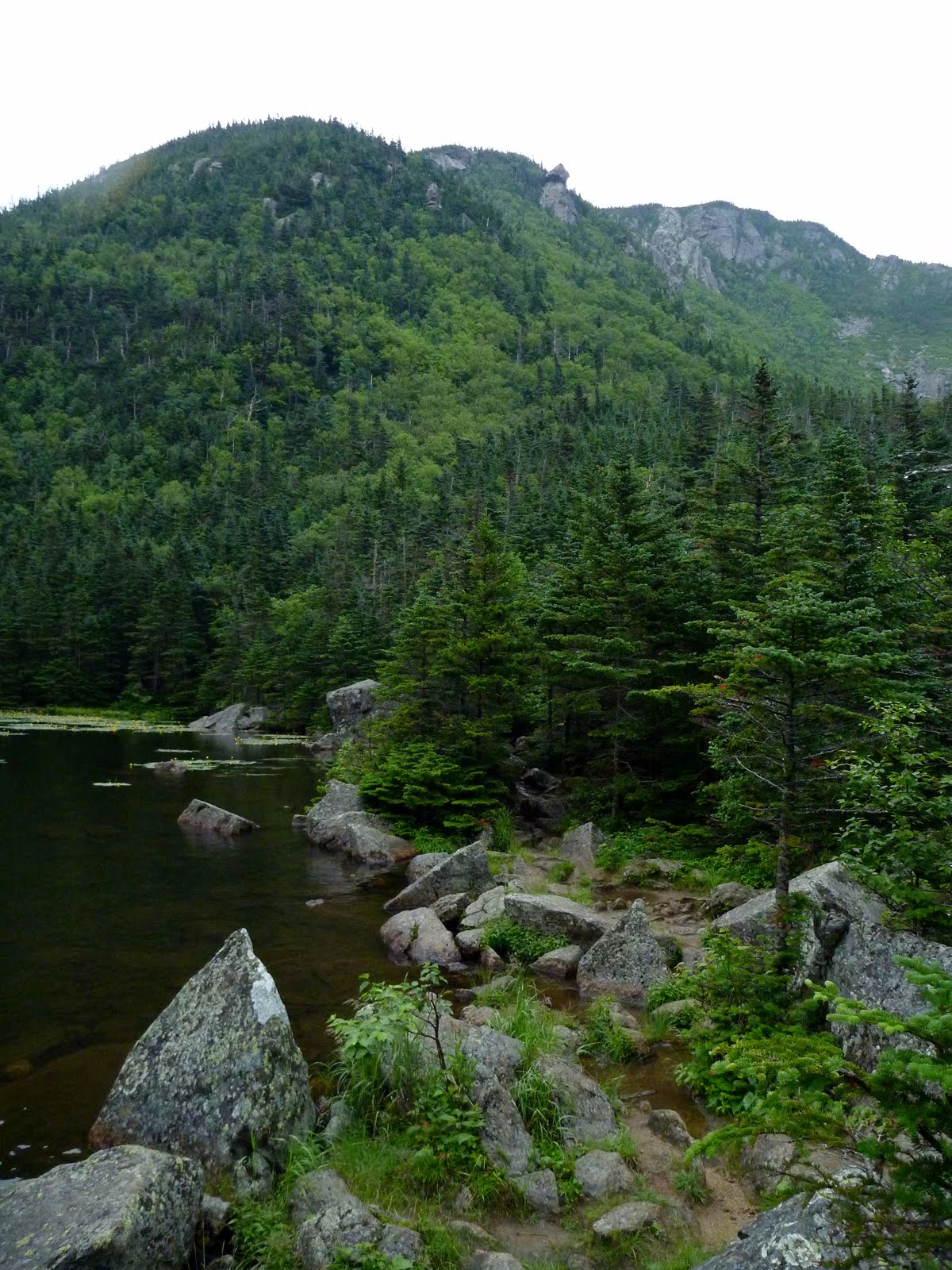 White Mountain Sojourn: 7-19-10 Carter Notch on a rainy day