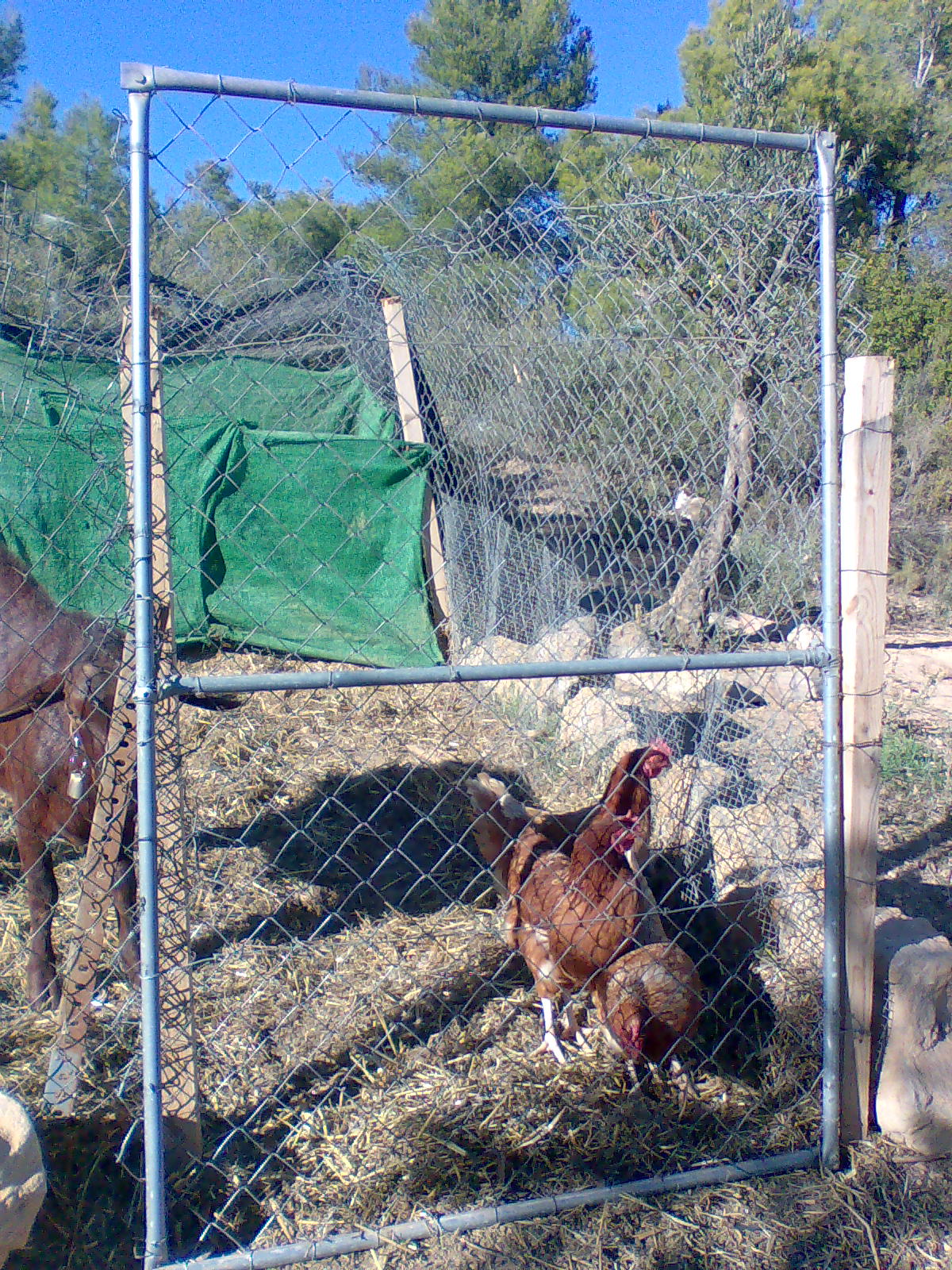 Aventuras en la Palma d´Ebre: CONSTRUIR UN CORRAL BARATO