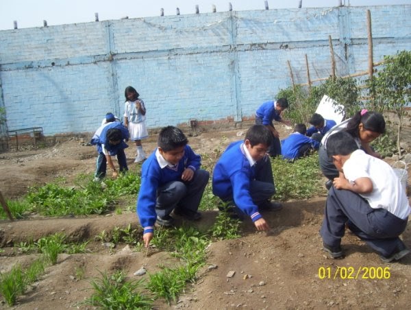 MAESTRA INNOVADORA: Cuidemos nuestro ambiente implementando nuestro ...