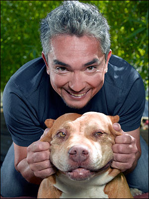 Positive & Affirmative thoughts to the universe: DOG WHISPER CESAR ...