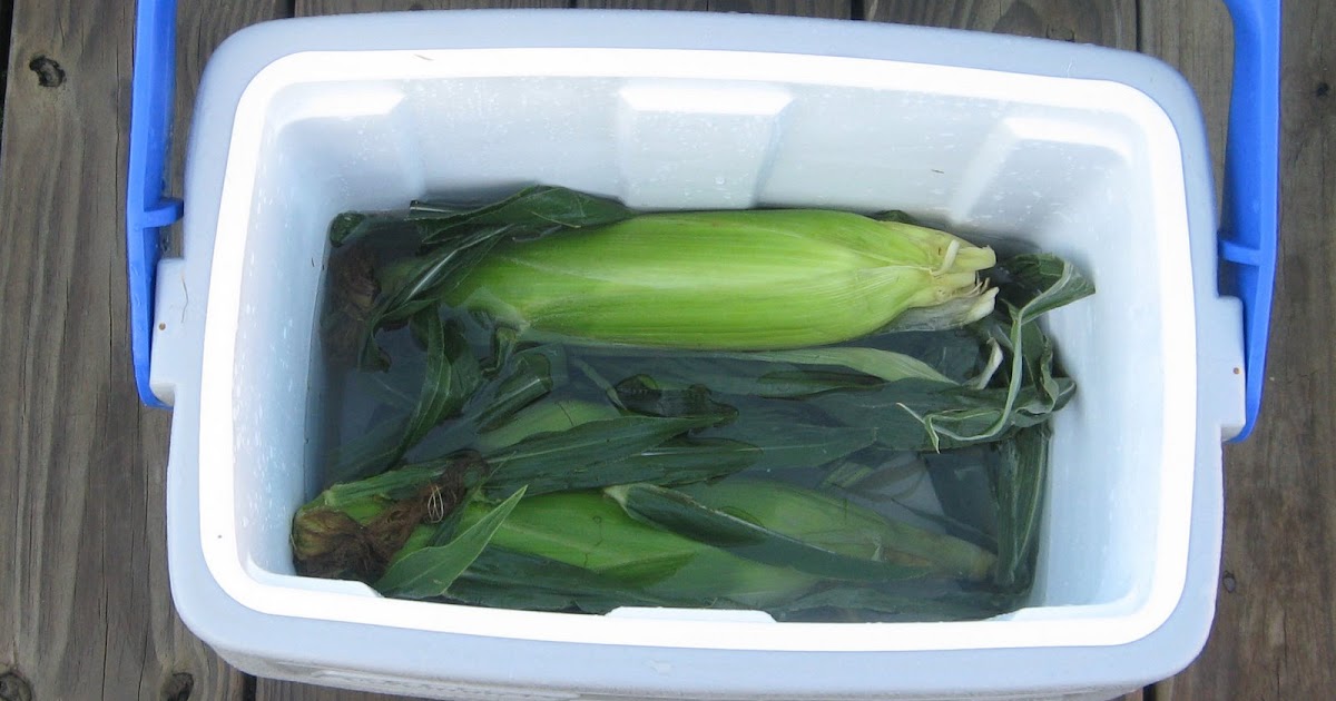Barbecue Master: Fresh Corn on the Grill in the Husks