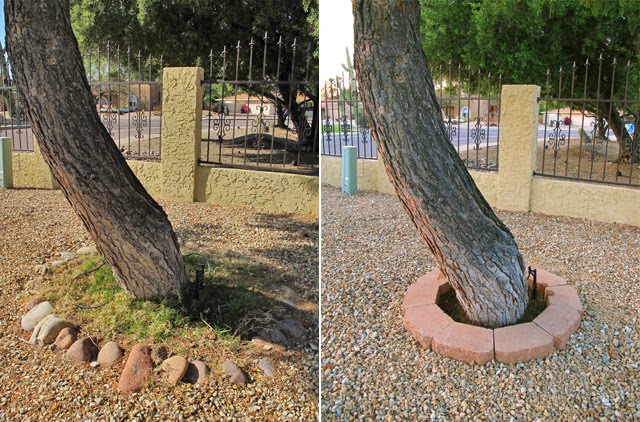 Love Sweat And Tears Building A Tree Ring Love Sweat And Tears Building A Tree Ring