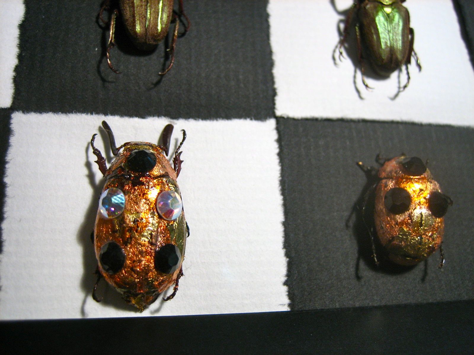 Insect Art: The Return of Bughouse Chess!