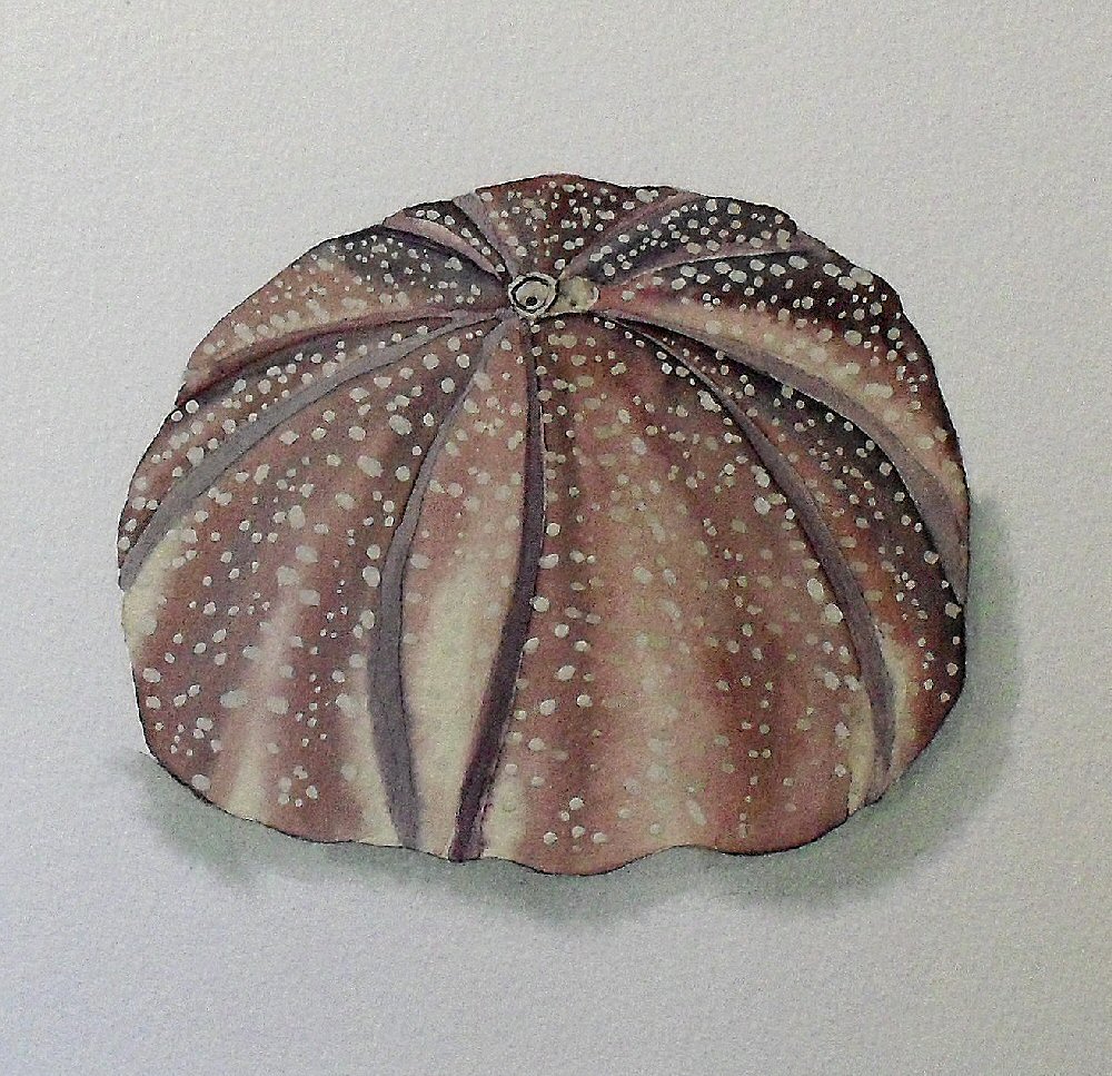 Judy Adamson's Art & Design Blog: Seven Artists' Reasons not to go Digital