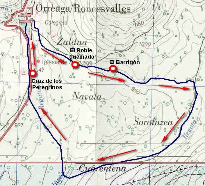 Senderismo y montaña en Roncesvalles: ruta 9: Bosque de Basajaunberro