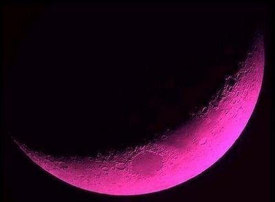 Pink Moon: Leyenda de la Luna Rosa