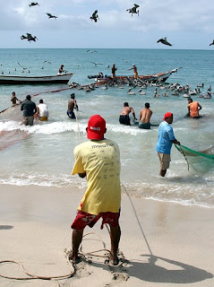 trabajos de sociales: Pesca tradicional artesanal
