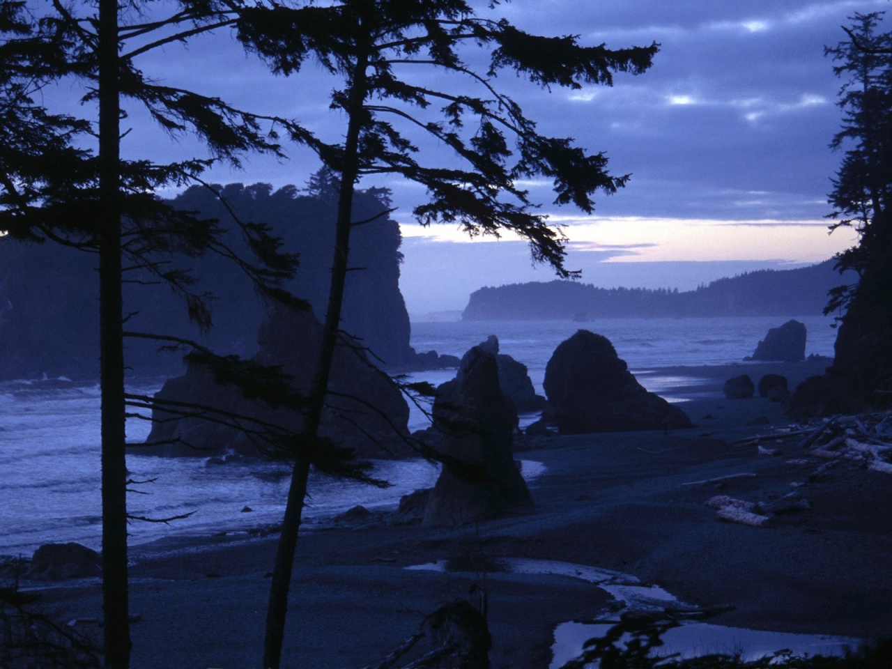 Ruby beach olympic national park | Urban Art Wallpaper