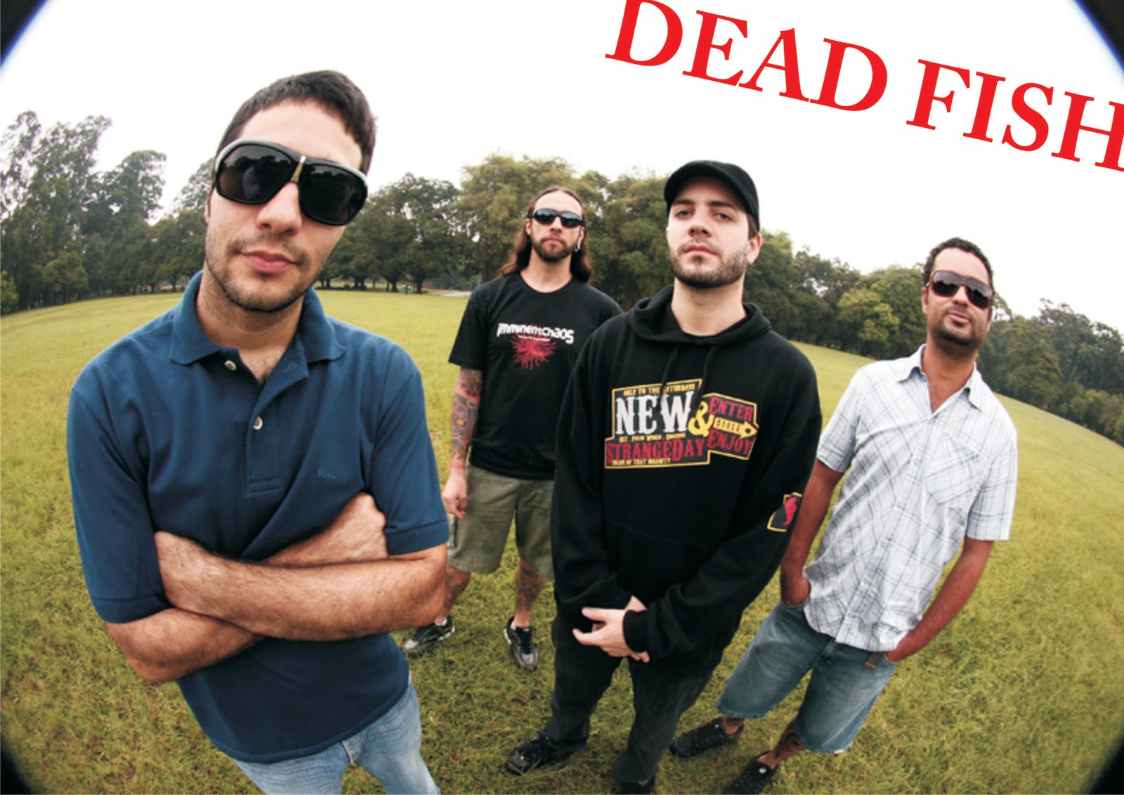 Carlos Eduardo Rodrigues: DEAD FISH, HARDCORE DO 3º MUNDO
