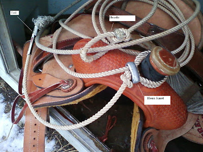 Kari Lynn Dell - Western Author: A Rope by Any Other Name