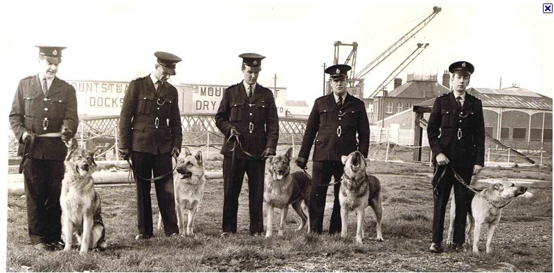 UK Police Dog history: South Wales (Ports) Police Dogs circa 1960's