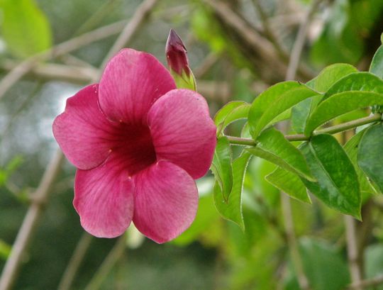 Jim & Carole's Mexico Adventure: Puerto Vallarta Part 5: Vallarta ...