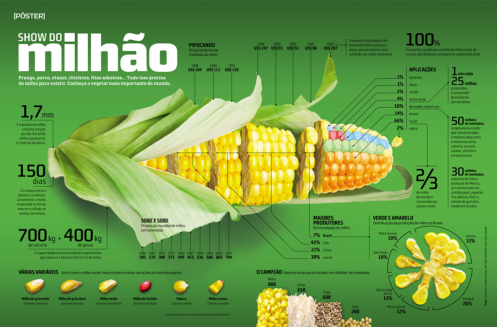 Beautiful lies - infographics inspirations: corn infographics