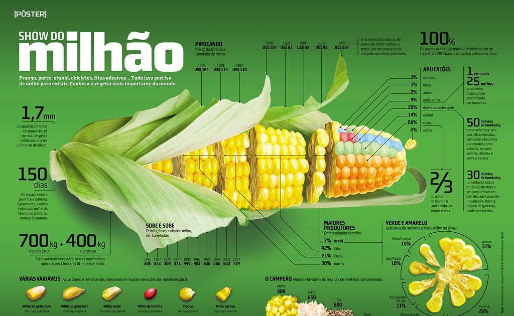Beautiful lies - infographics inspirations: corn infographics