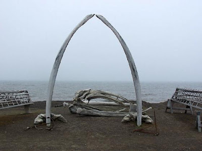 I've Been Everywhere . . .: Whalebone Arch, Barrow, Alaska