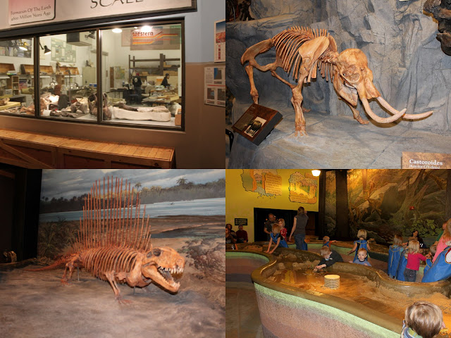 Dinosaur Museum at Thanksgiving Point, Utah