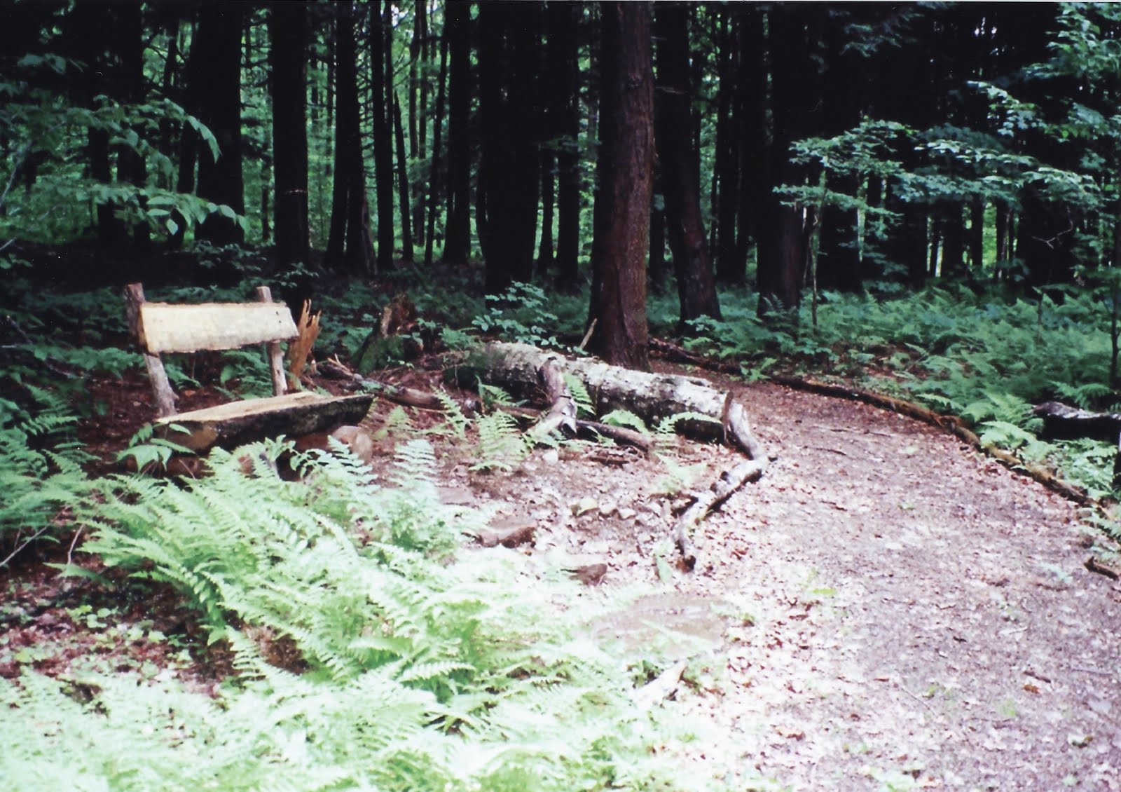 Fishing & Hunting in Oswego County, NY: Nature Park at Camp Zerbe Is a ...