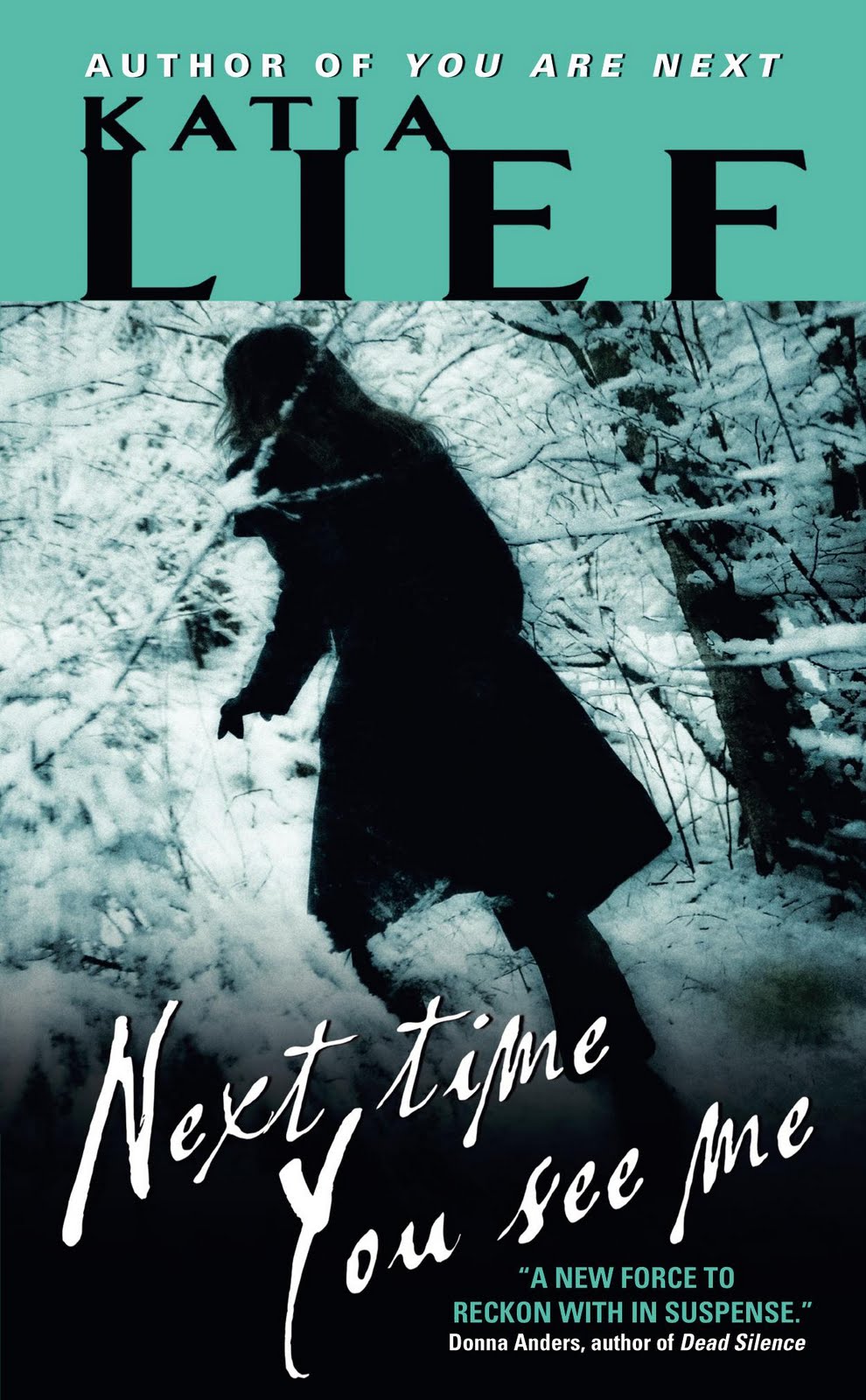 Shroud Magazine Book Reviews: You Are Next and Next Time You See Me ...