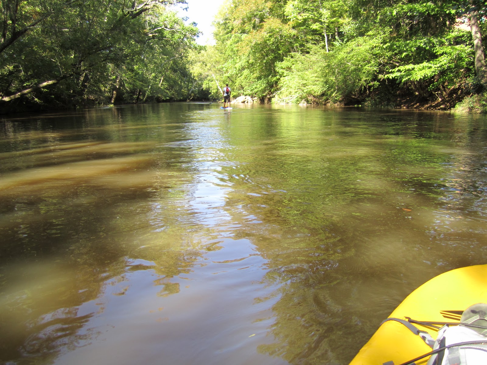 SUP Virginia: SUP South Anna River, Va