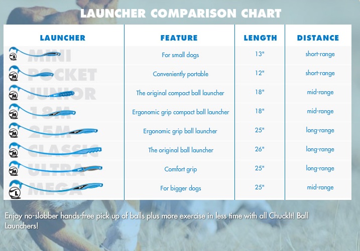 The Adventures of Two Pitbulls: August 2010