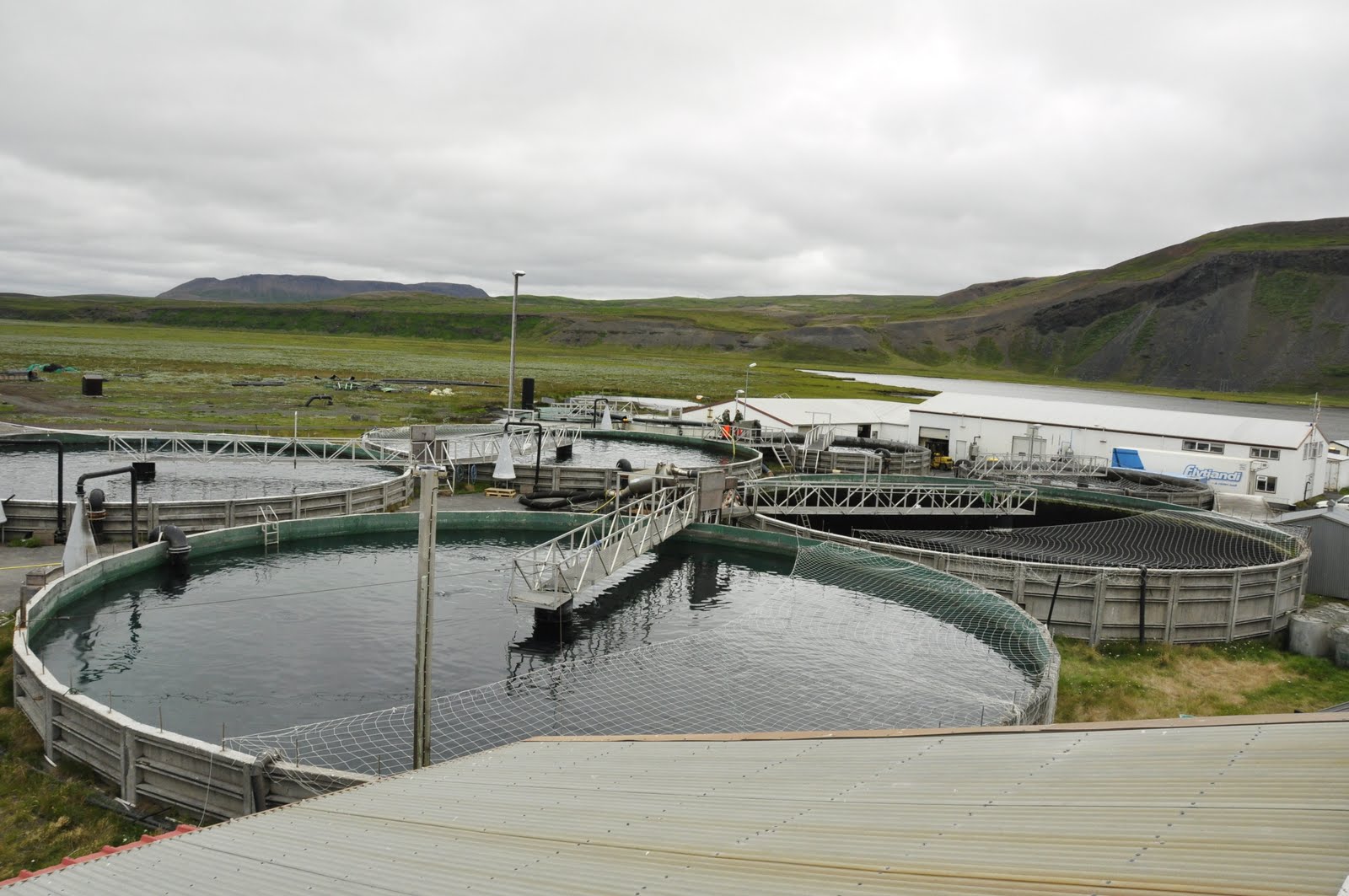Cathy's Icelandic Geothermal Exploration: Day 12- Two Fish Farms, A ...