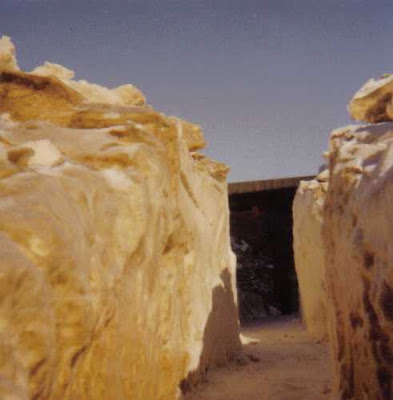 stevnsbloggen: Fra dengang der fandtes vintre i Danmark