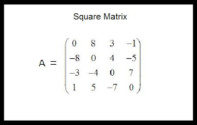 Numerical methods: Matrices