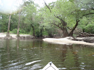 SOUTH GEORGIA KAYAK FISHING: WITHLACOOCHEE & LITTLE RIVER convergence ...