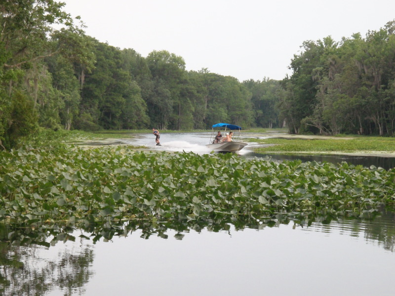 SOUTH GEORGIA KAYAK FISHING: Wacissa River and Springs
