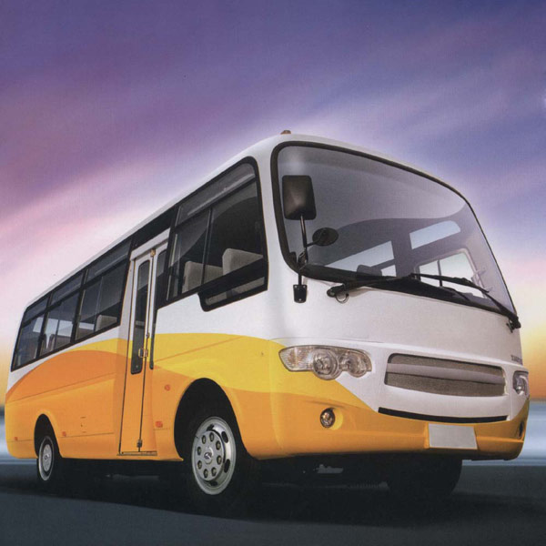 ΟΡΑΜΑ ΔΗΜΟΥ ΛΑΓΚΑΔΑ: Μετακινήσεις με mini Bus στο Λαγκαδά!