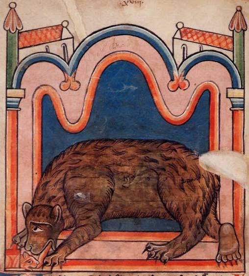 Bestiaria Latina: Mille Fabulae et Una: Image Ursae Catuli et Leaena