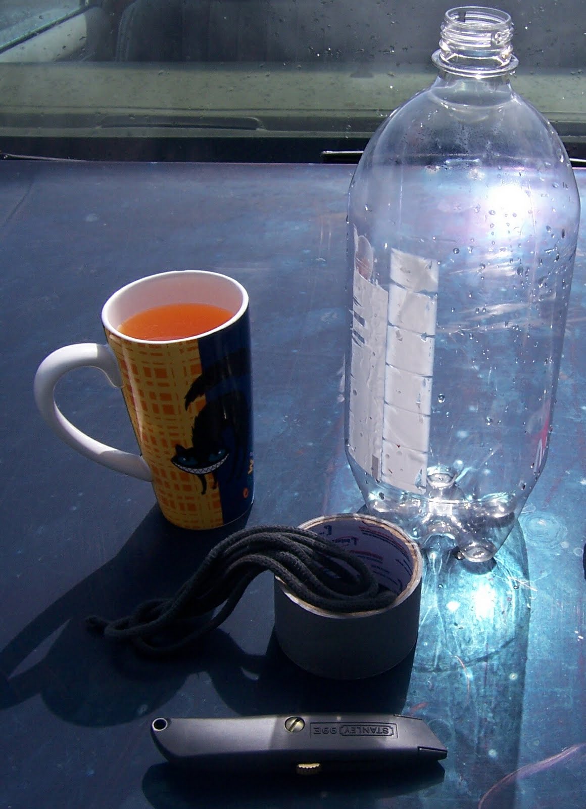 The Wild Domestic: An effective, homemade wasp/fly trap, for about 20 ...