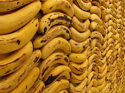 Unseen Art Scene: Banana Wall by Stefan Sagmeister