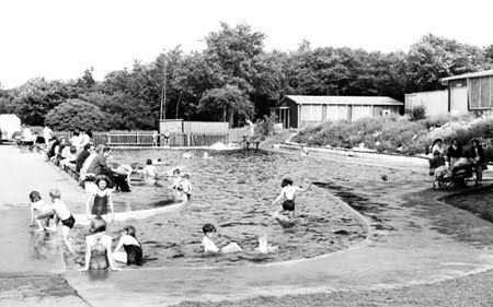 LANGOLD COMMUNITY BLOG: PROPOSALS FOR LANGOLD LAKE FROM "FREINDS OF ...