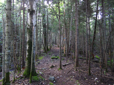 a year of getting up to meet the day: north brother mountain