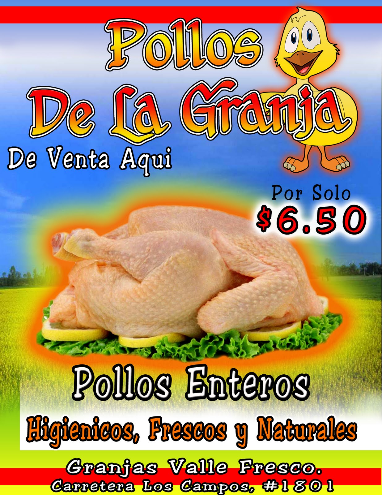 Mi Portafolio de Diseño: Publicidad para empresa que comercializa pollo ...