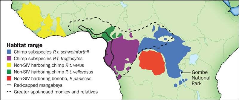 Persona Non Grata: Eastern Chimpanzees Get Conservation Plan