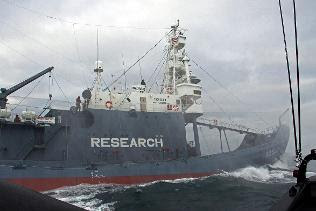 tran thi thuy animal: Sea Shepherds snelle actieboot Ady Gil geramd ...