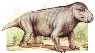 Los Verdes: Reptiles de Pangea