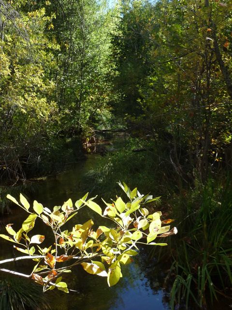 TerryRoars: Red wine, red rocks: wine tasting in Arizona