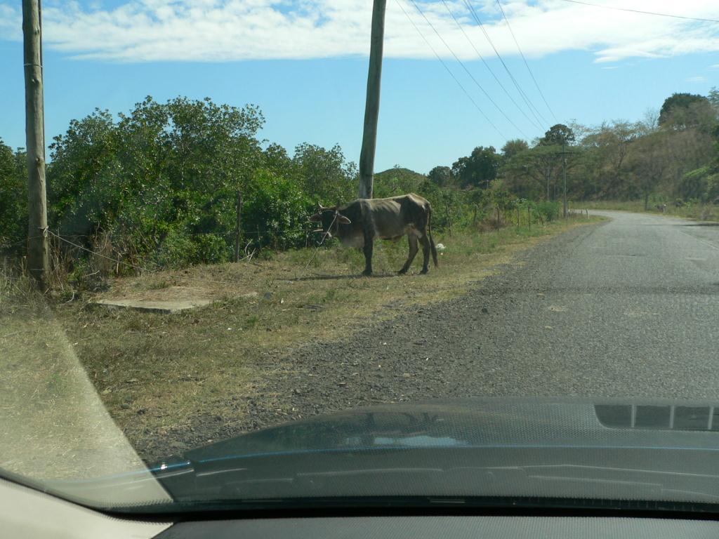 George & Ros's Travels: Around Fiji