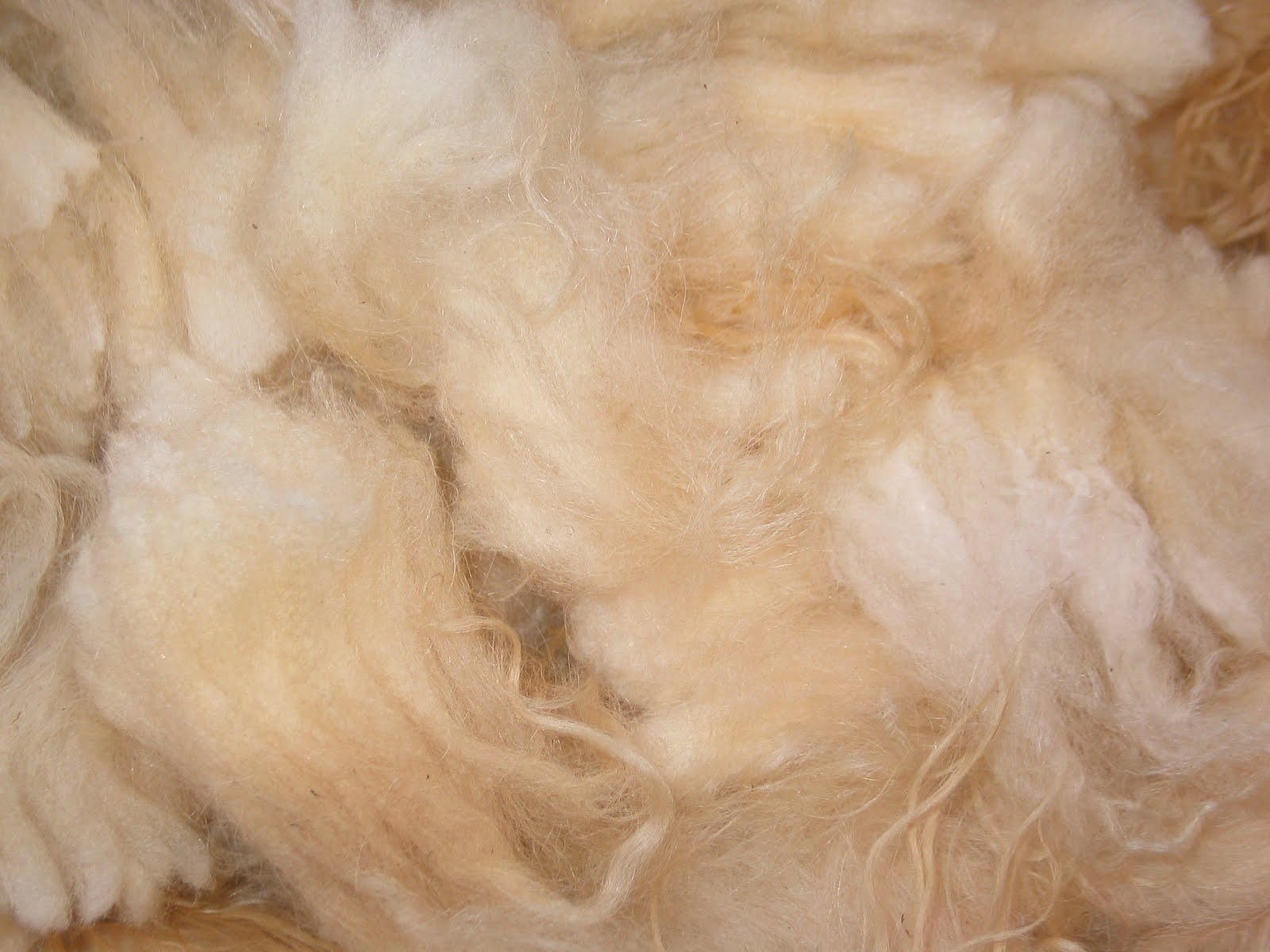 Losing Our Shirts, Keeping The Farm: Quilt Project, Part 2: Fiber ...