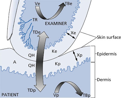 The essence of palpation: ‘how do you feel?’ - Leon Chaitow