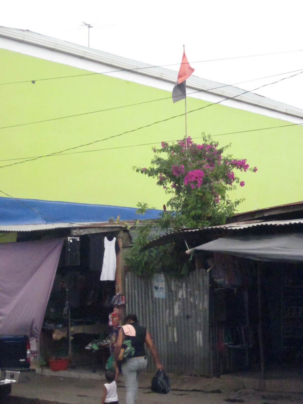 ILUSIÖN COMPARTIDA: BLUEFIELDS ( Nicaragua II )