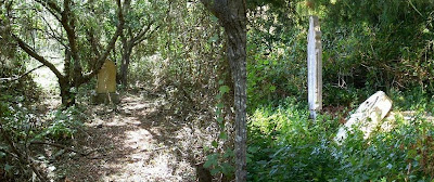 The Wandering Graveyard Rabbit: Abandoned Cemetery: Purissima in Half ...